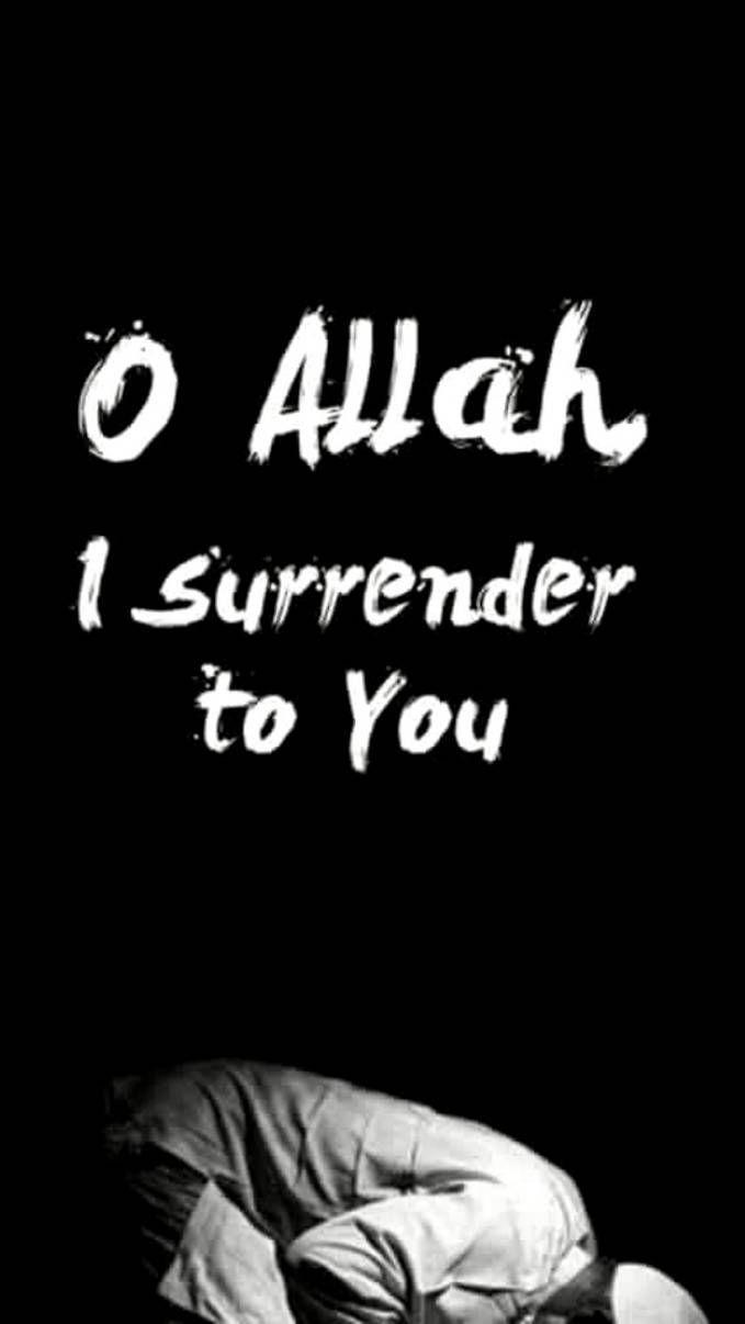 Surrender Wallpapers - Top Free Surrender Backgrounds - WallpaperAccess