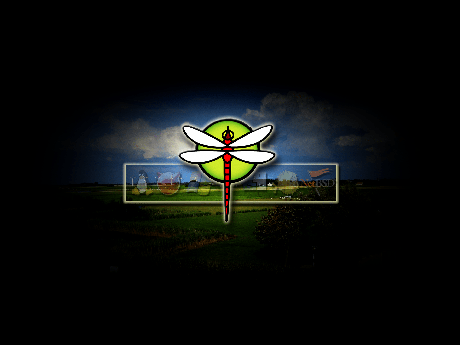 Surrender Wallpapers - Top Free Surrender Backgrounds - WallpaperAccess