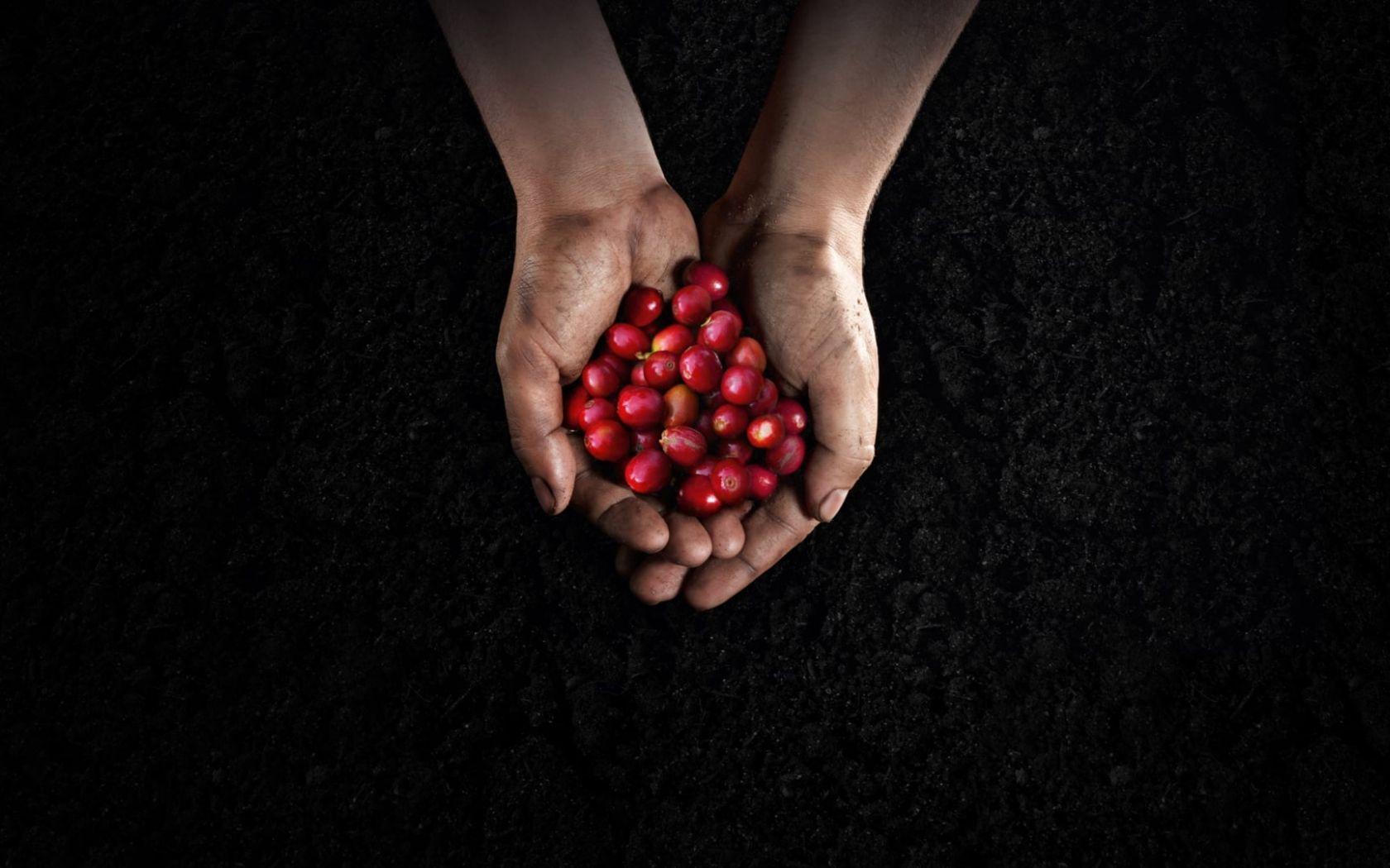 Nespresso Wallpapers - Top Free Nespresso Backgrounds - WallpaperAccess