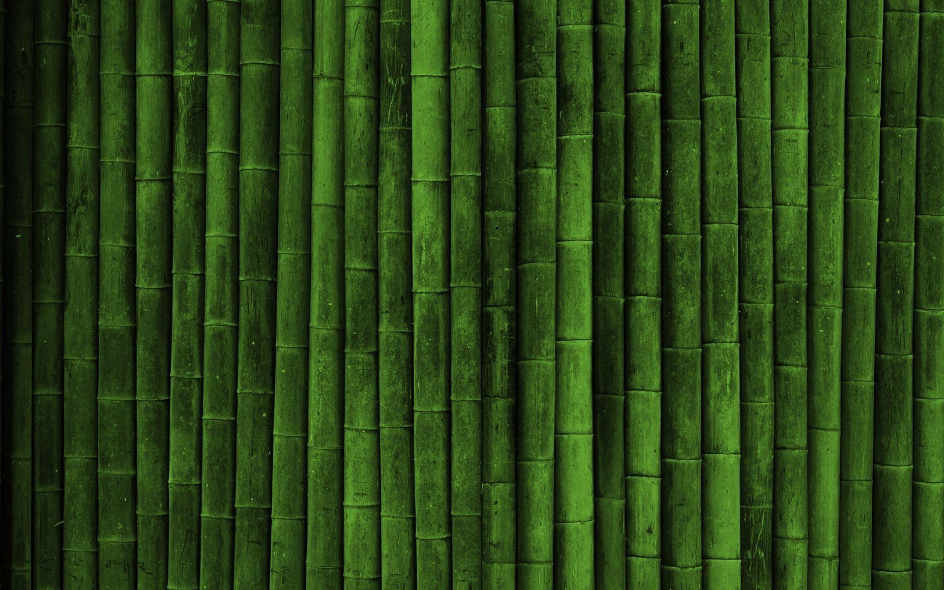 Sugar Cane Wallpapers - Top Free Sugar Cane Backgrounds - WallpaperAccess