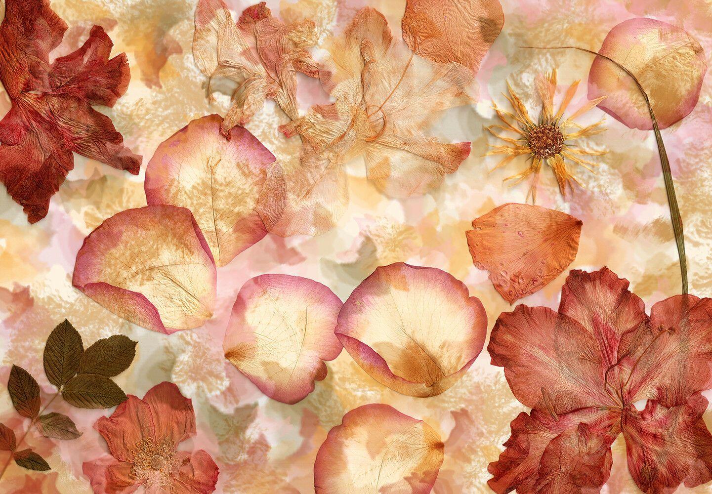Dry Flowers Wallpapers - Top Free Dry Flowers Backgrounds - WallpaperAccess