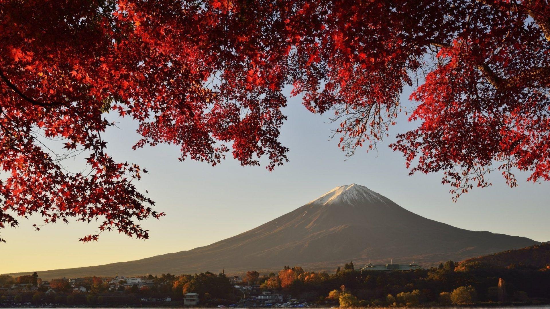 Japanese Autumn Desktop Wallpapers - Top Free Japanese Autumn Desktop ...