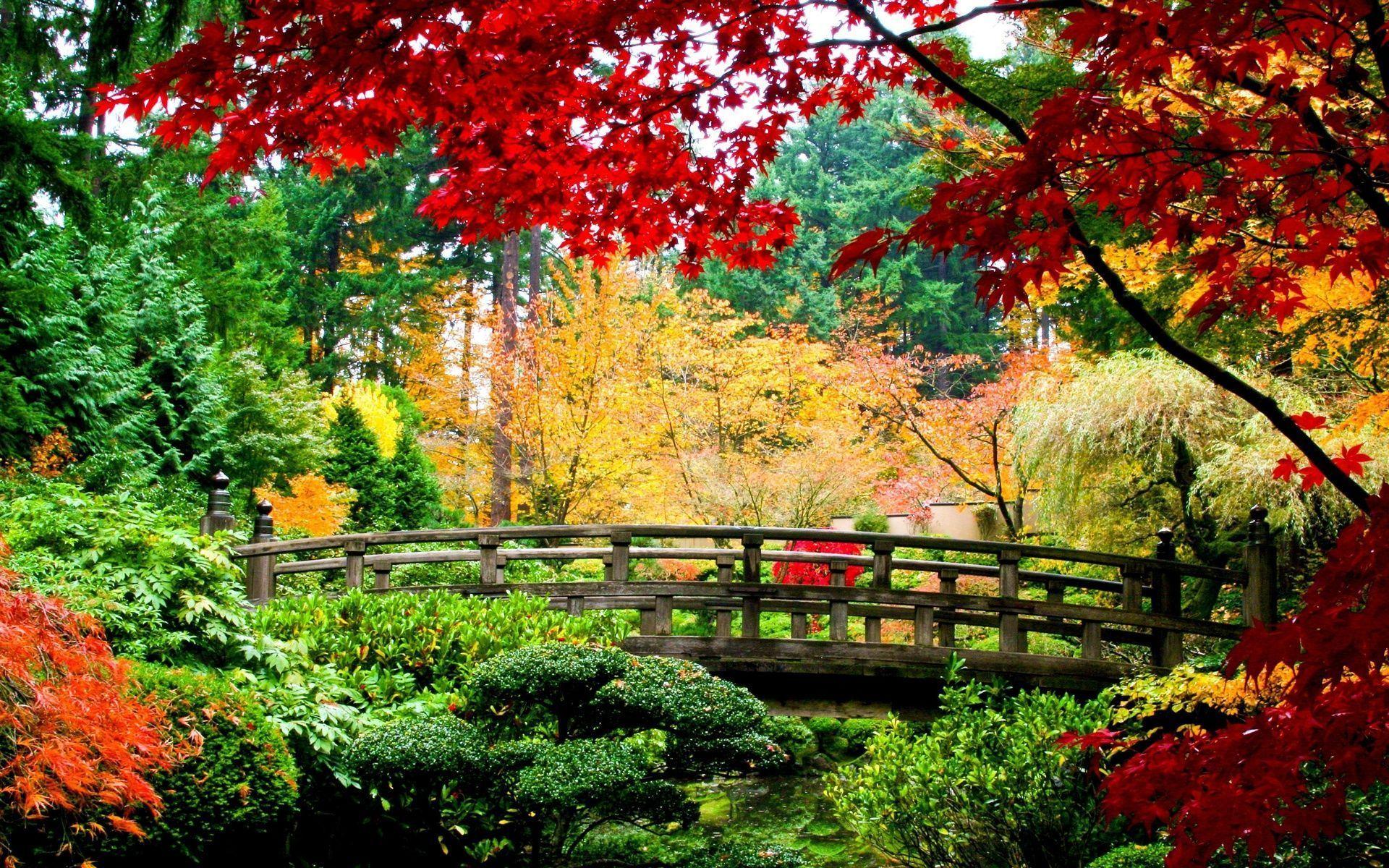 Japanese Autumn Desktop Wallpapers - Top Free Japanese Autumn Desktop ...