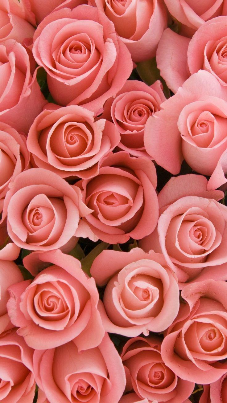 Pretty Flowers iPhone Wallpapers - Top Free Pretty Flowers iPhone ...