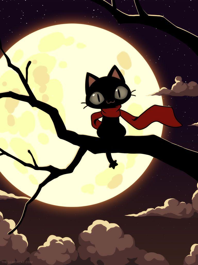 GaMERCaT Wallpapers - Top Free GaMERCaT Backgrounds - WallpaperAccess