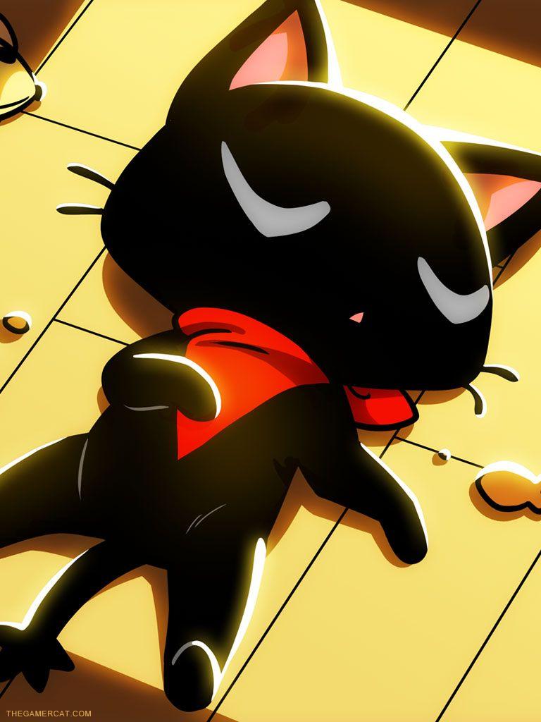 GaMERCaT Wallpapers - Top Free GaMERCaT Backgrounds - WallpaperAccess