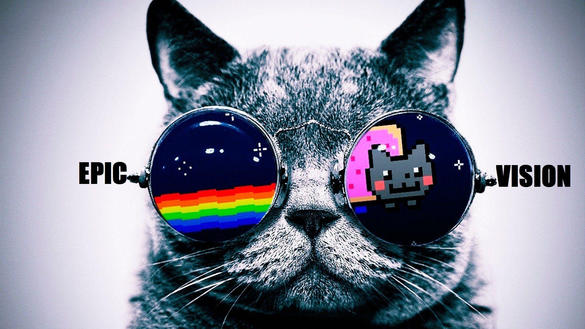 GaMERCaT Wallpapers - Top Free GaMERCaT Backgrounds - WallpaperAccess
