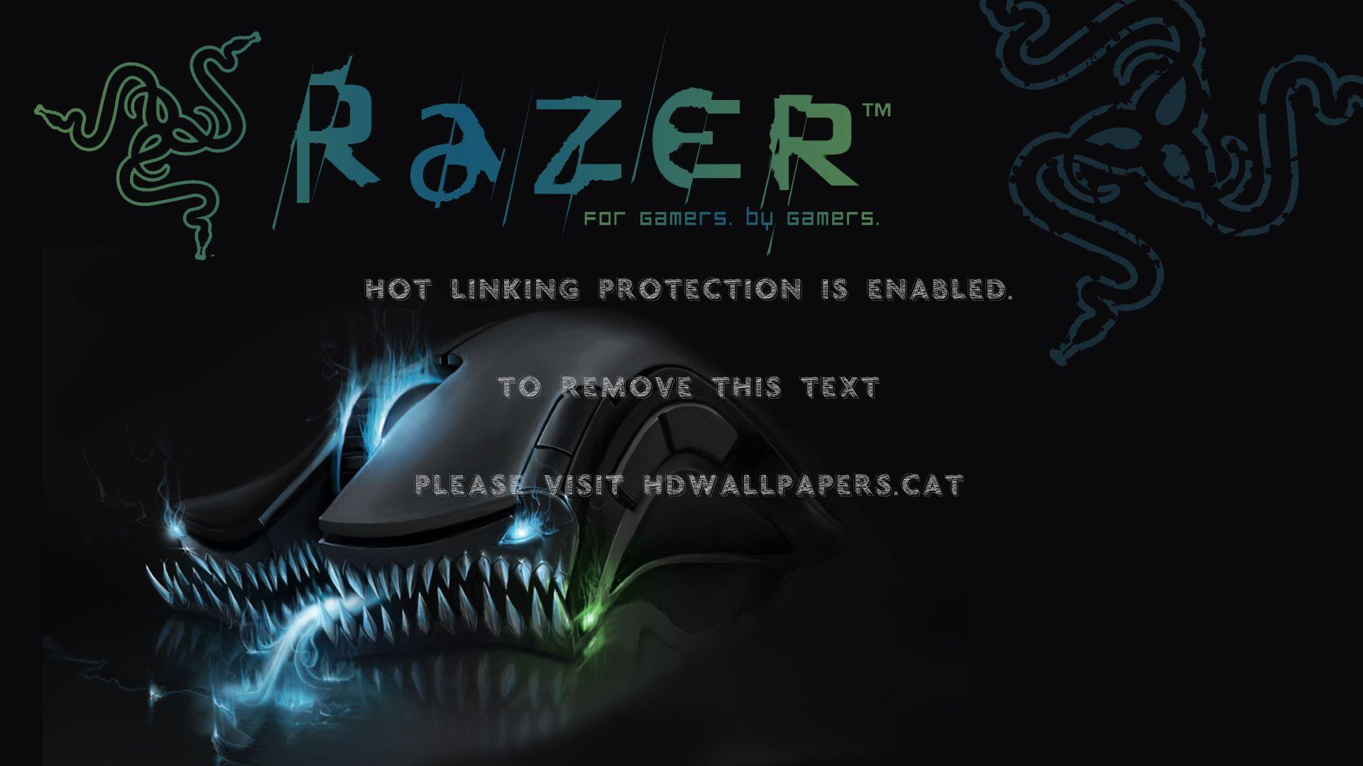 GaMERCaT Wallpapers - Top Free GaMERCaT Backgrounds - WallpaperAccess