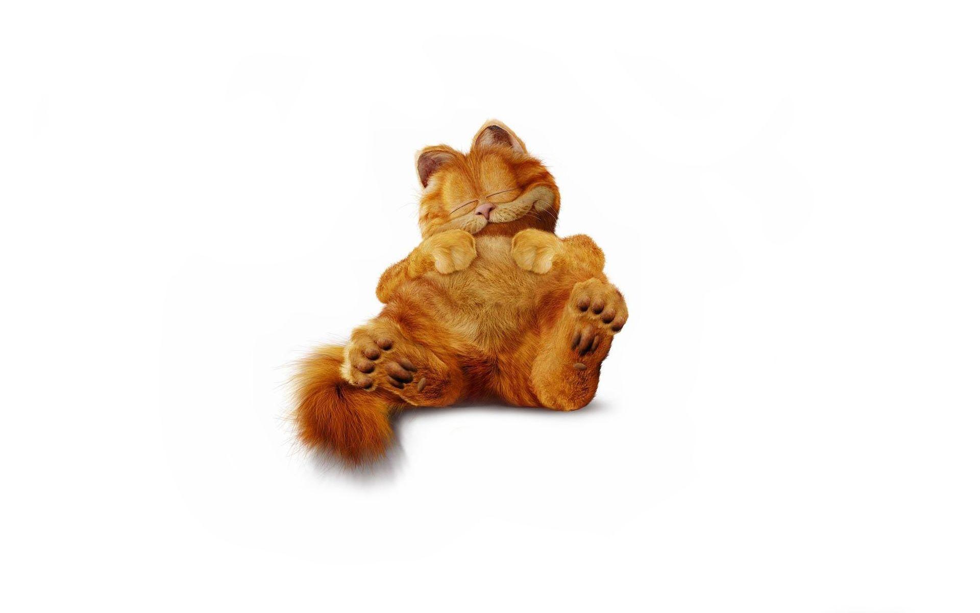 Garfield HD Wallpapers - Top Free Garfield HD Backgrounds - WallpaperAccess