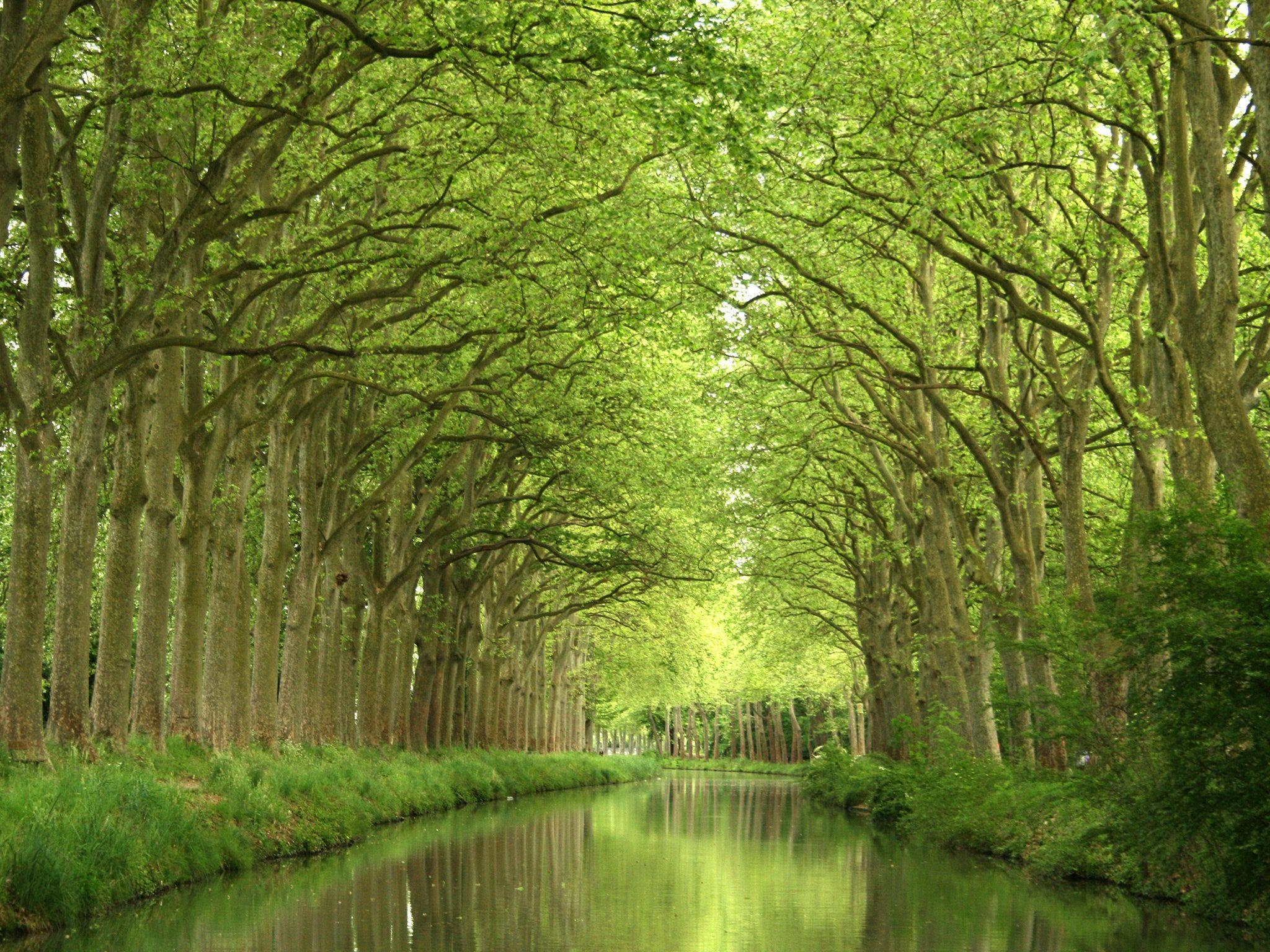 France Nature Wallpapers - Top Free France Nature Backgrounds ...