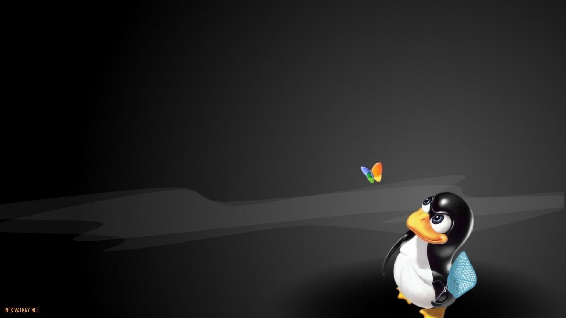Linux Penguin Wallpapers - Top Free Linux Penguin Backgrounds ...
