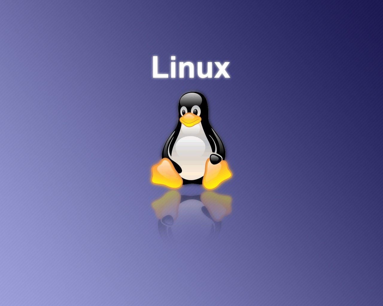 Linux Penguin Wallpapers - Top Free Linux Penguin Backgrounds ...