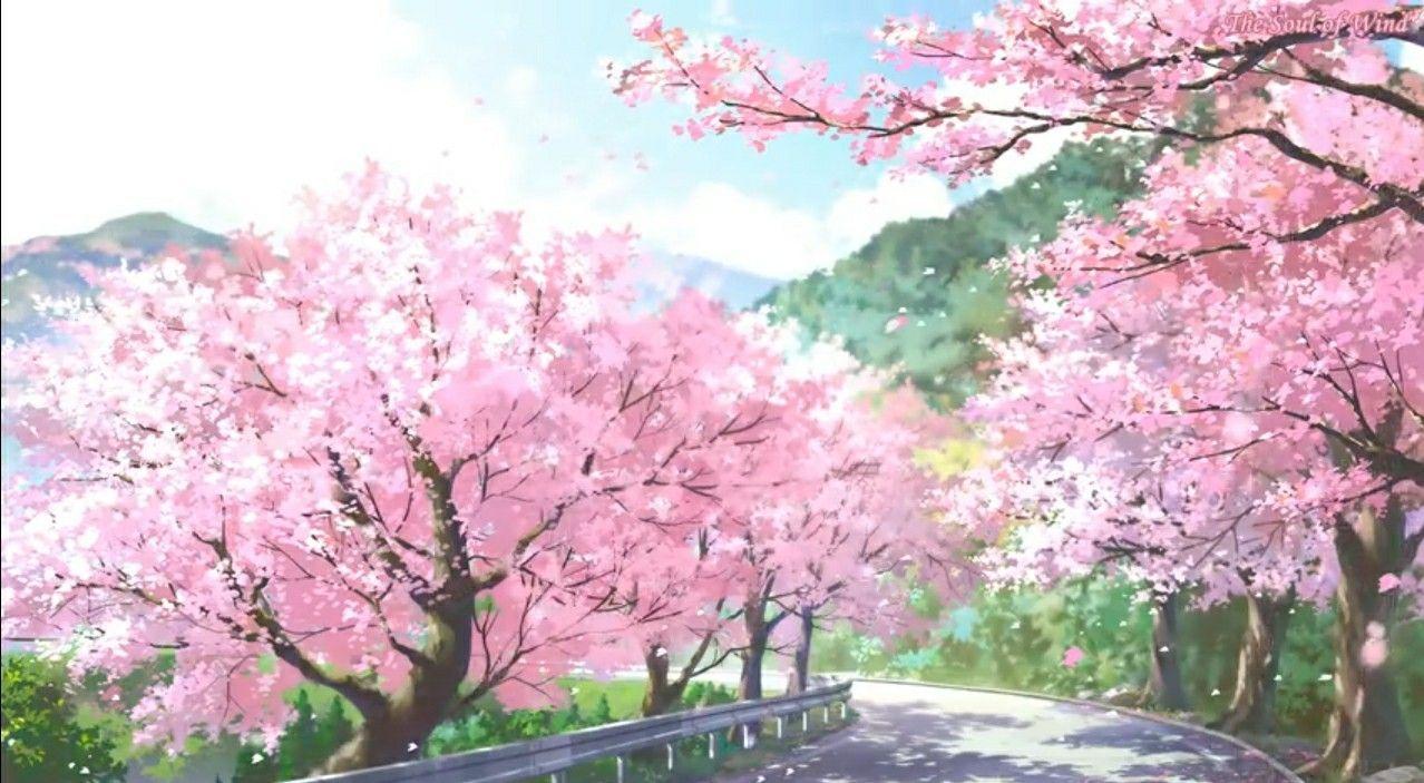 Anime Spring Landscape Wallpapers - Top Free Anime Spring Landscape ...