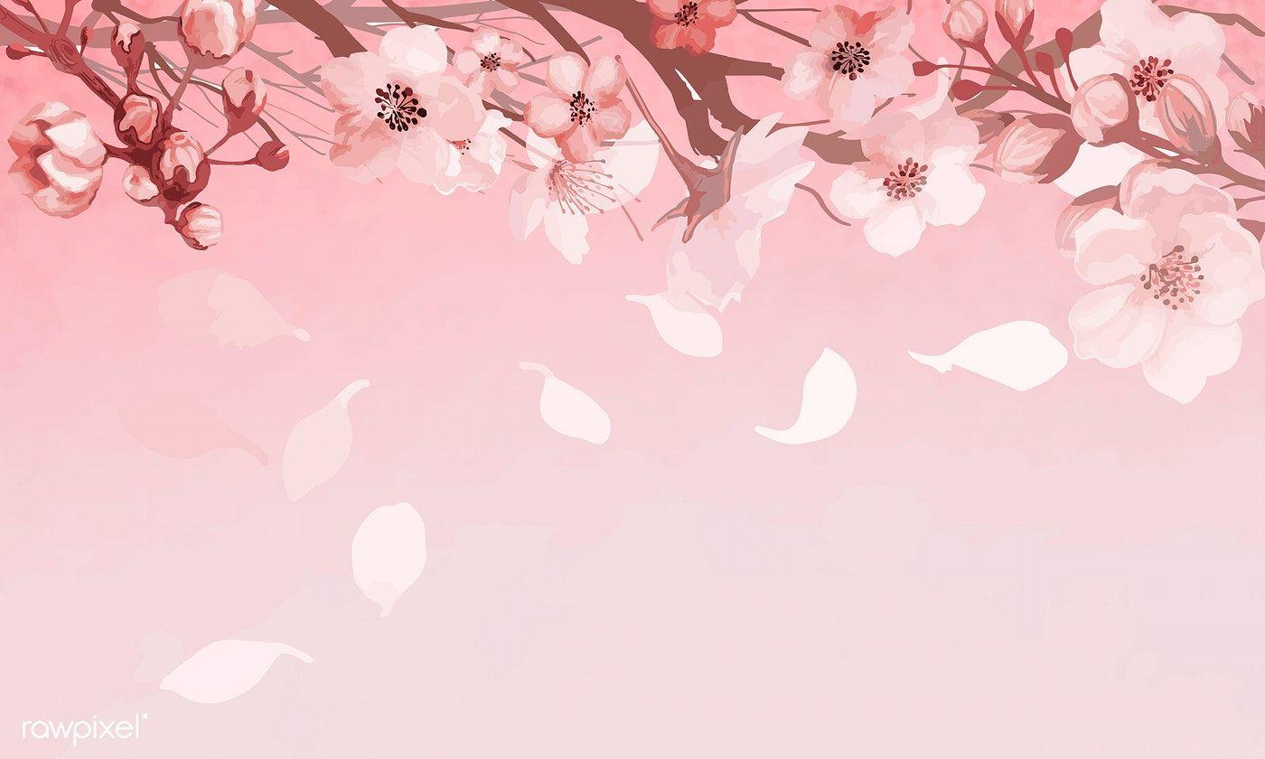Cherry Blossom Drawing Wallpapers - Top Free Cherry Blossom Drawing ...