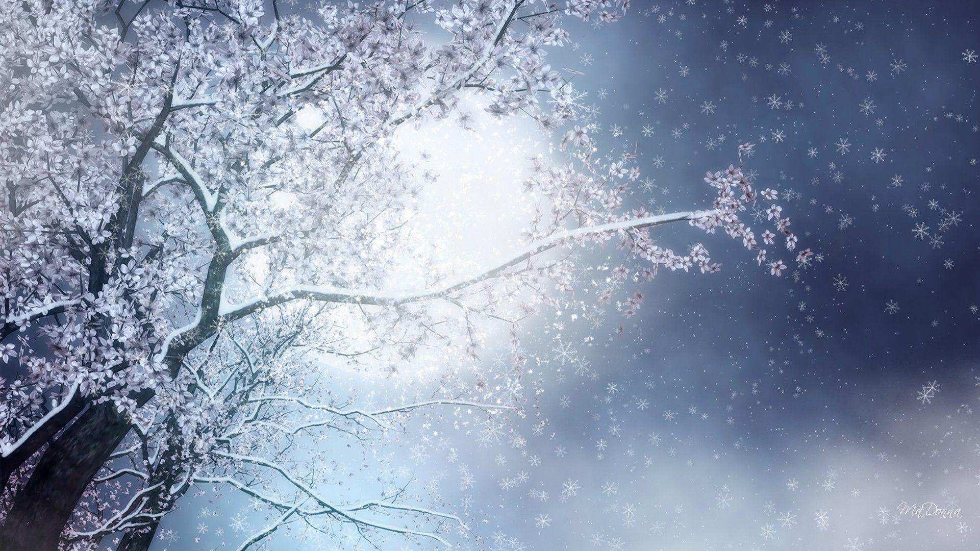 Cherry Blossom Tree with Snow Wallpapers - Top Free Cherry Blossom Tree ...