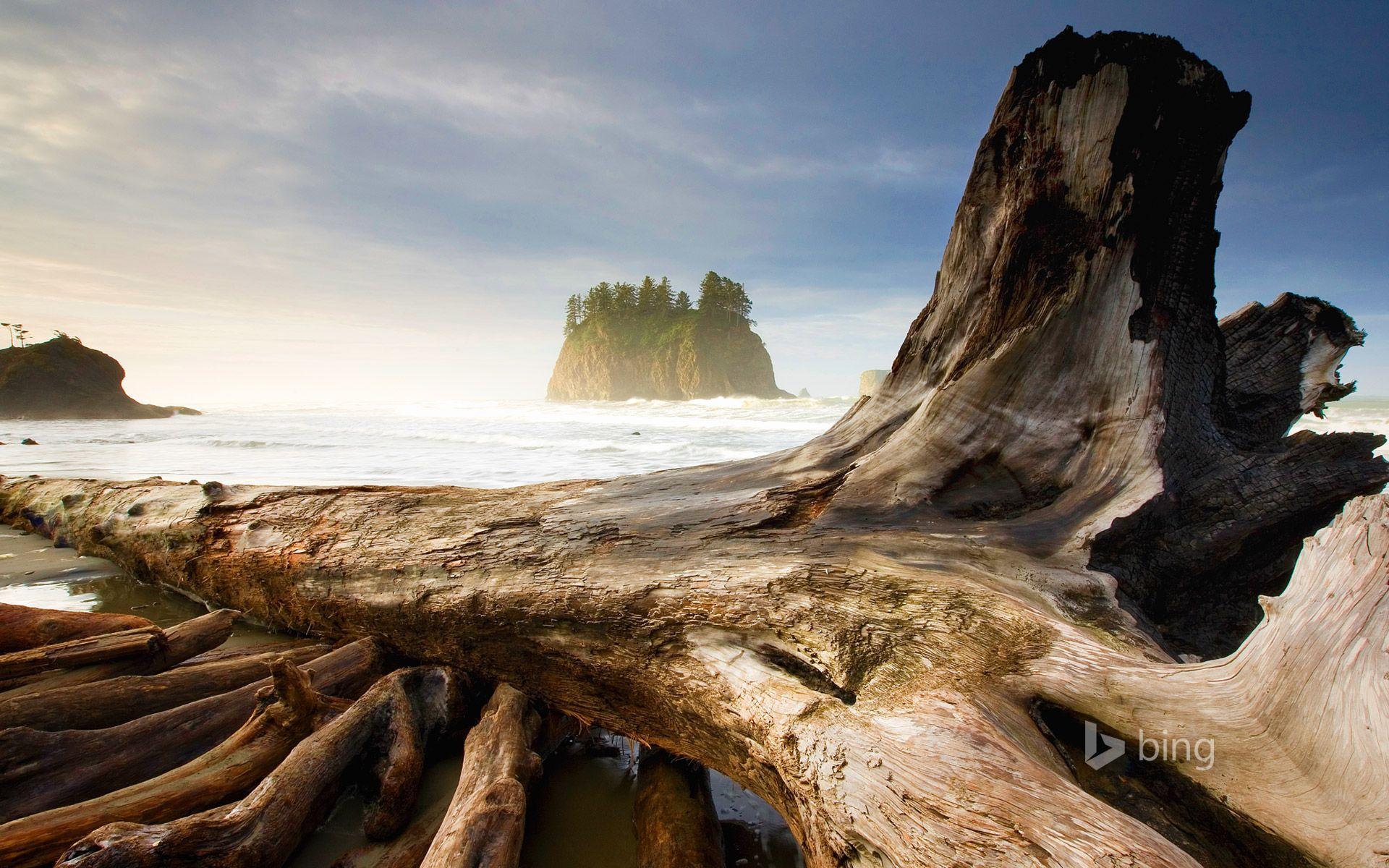Washington Coast Wallpapers - Top Free Washington Coast Backgrounds ...