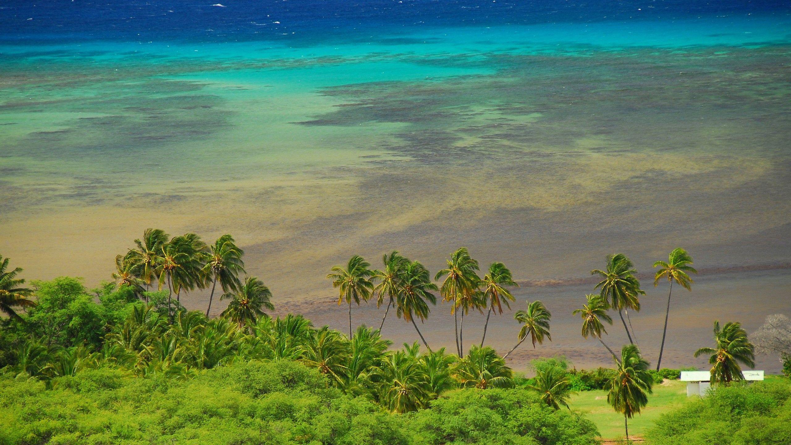 Molokai Wallpapers - Top Free Molokai Backgrounds - WallpaperAccess