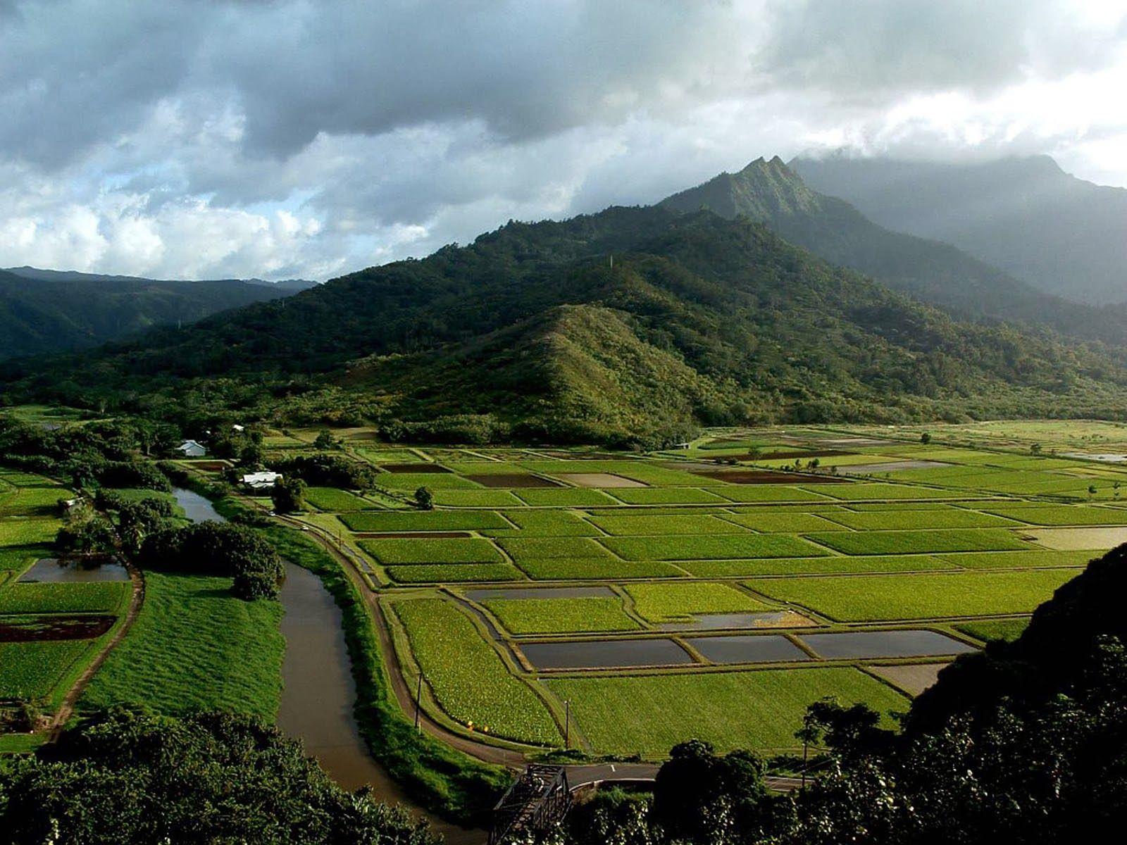 Hanalei Wallpapers - Top Free Hanalei Backgrounds - WallpaperAccess