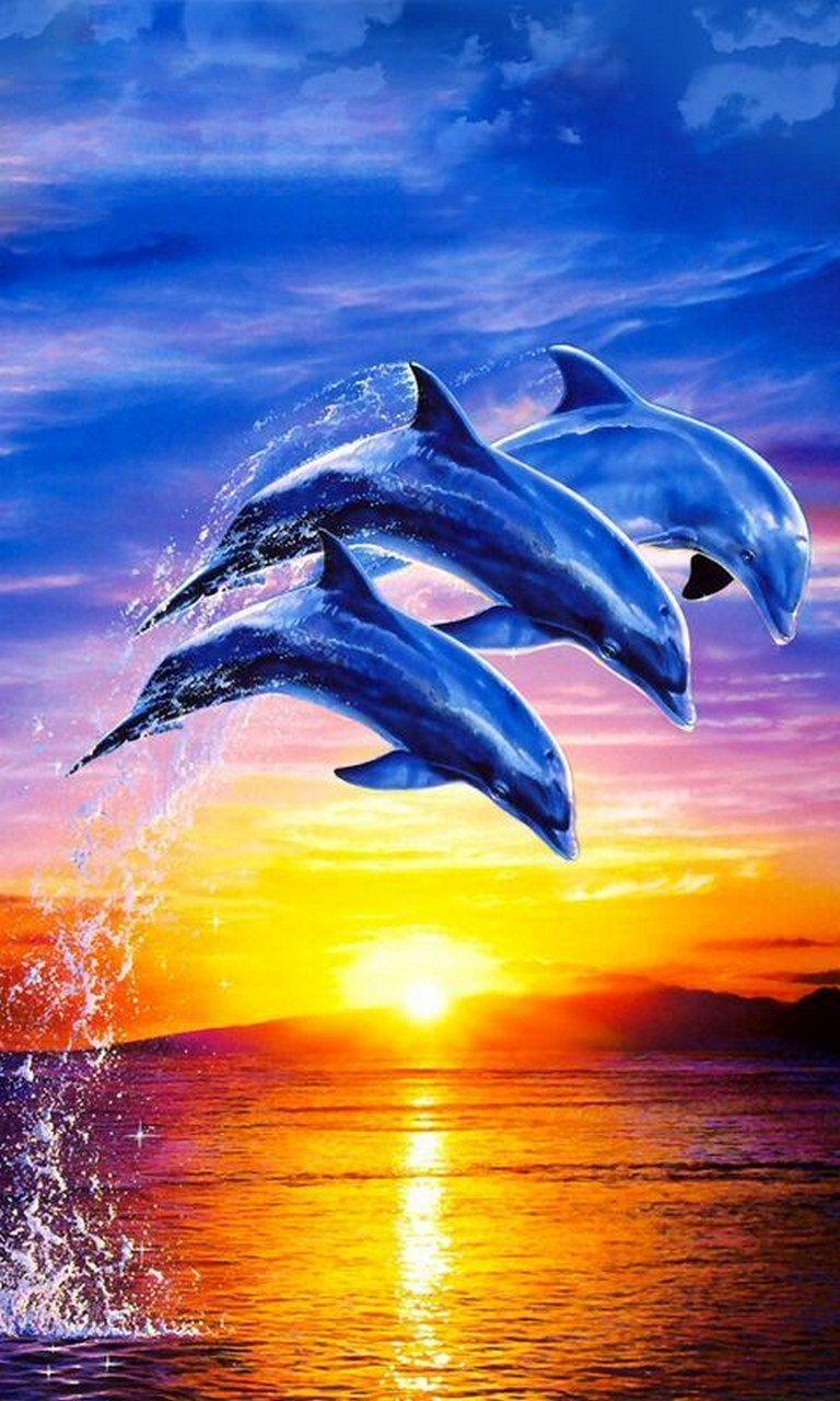 Dolphin Phone Wallpapers - Top Free Dolphin Phone Backgrounds ...