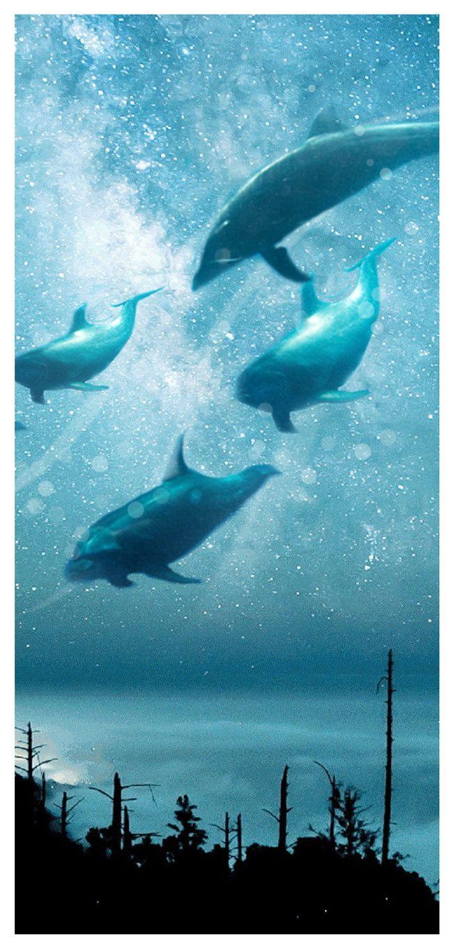 Dolphin Phone Wallpapers - Top Free Dolphin Phone Backgrounds ...