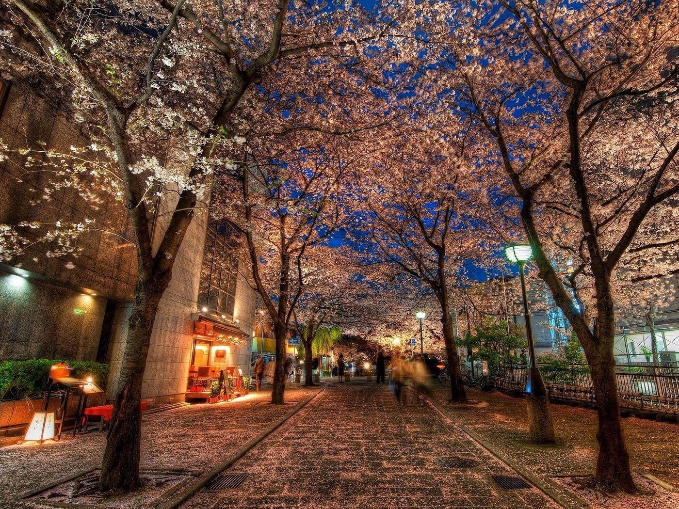 Night Park Wallpapers - Top Free Night Park Backgrounds - WallpaperAccess