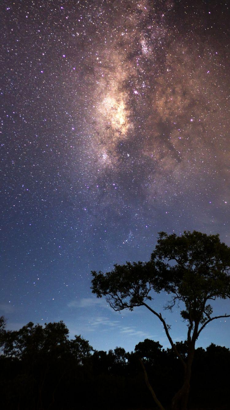 Starry iPhone Wallpapers - Top Free Starry iPhone Backgrounds ...