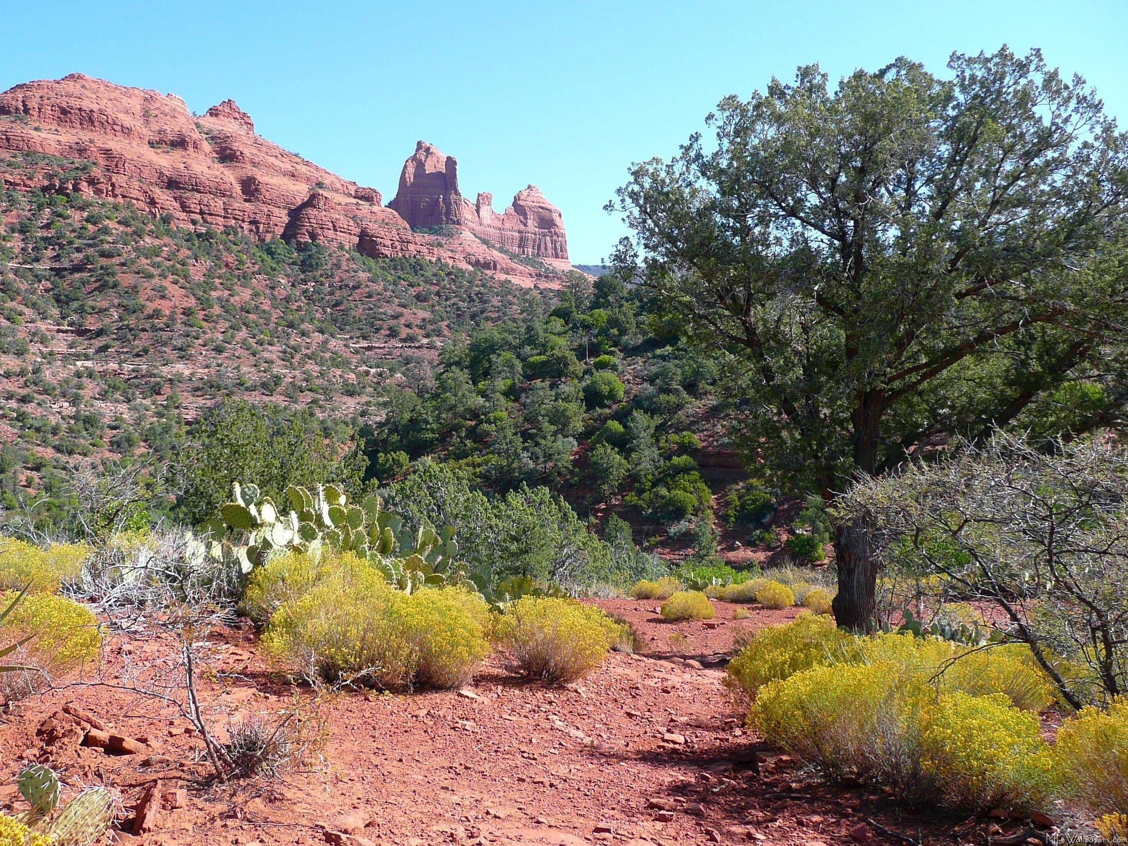 Red Rocks Wallpapers - Top Free Red Rocks Backgrounds - WallpaperAccess