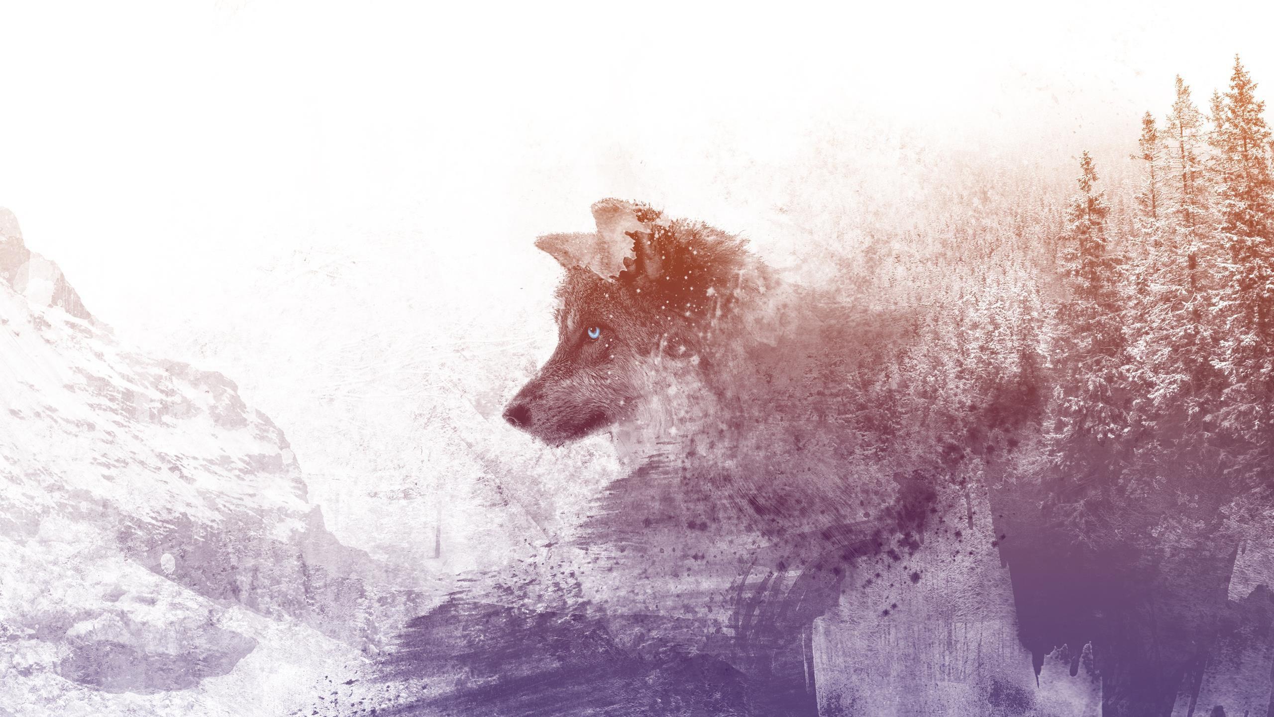 Drawing Laptop Wallpapers - Top Free Drawing Laptop Backgrounds ...