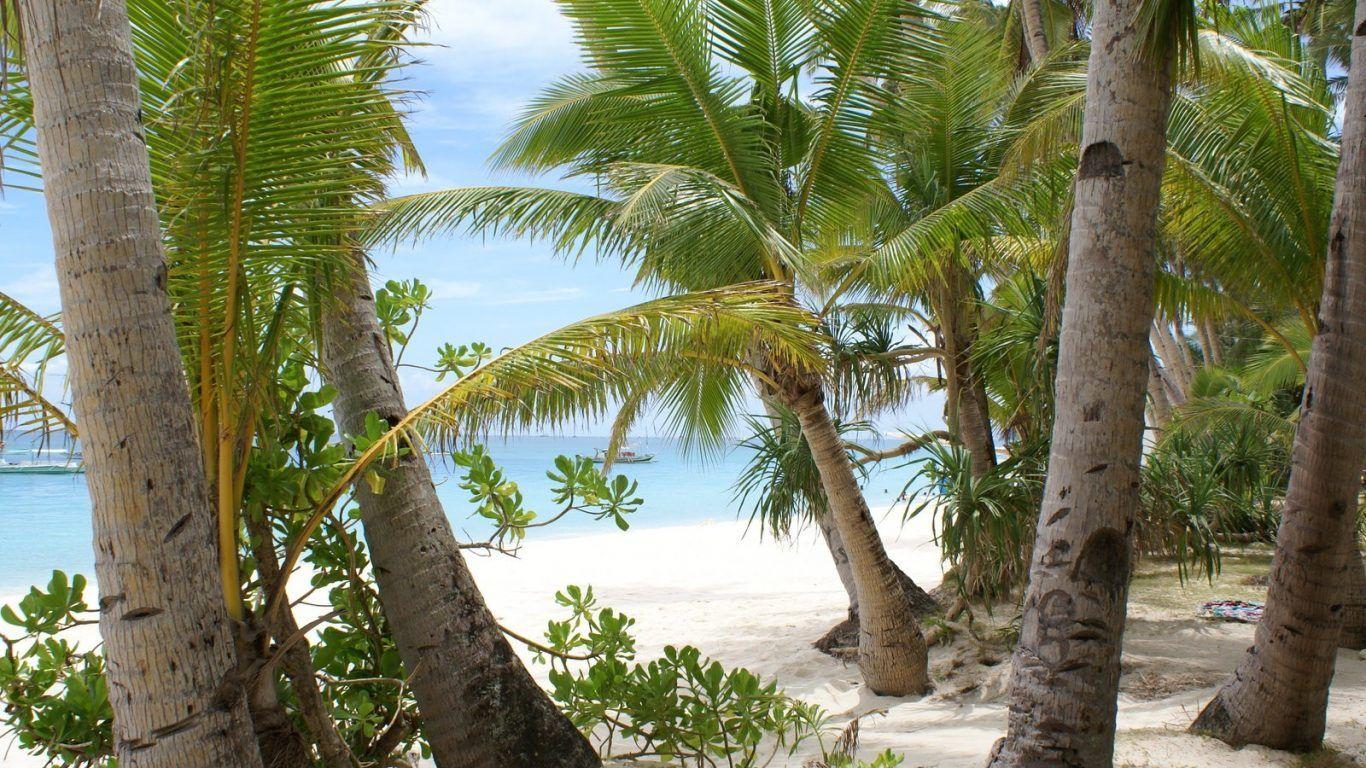 Exotic iPad Wallpapers - Top Free Exotic iPad Backgrounds - WallpaperAccess