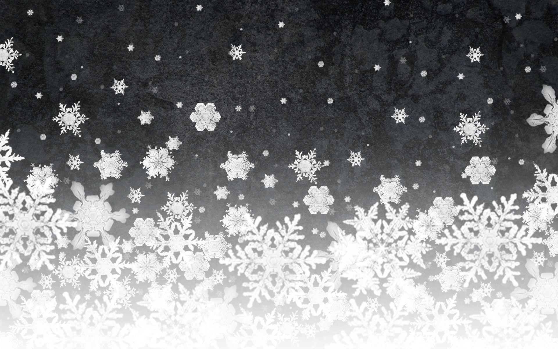 Black Snowflake Wallpapers - Top Free Black Snowflake Backgrounds ...