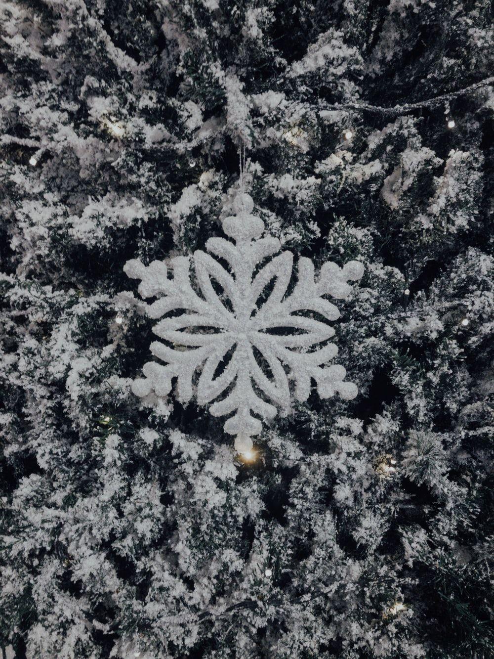 Black Snowflake Wallpapers - Top Free Black Snowflake Backgrounds ...