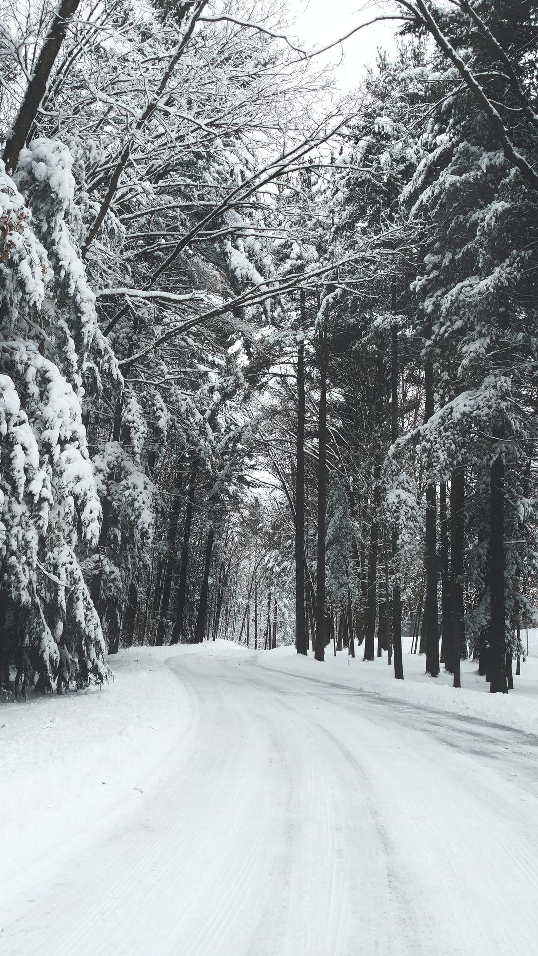 Snowy Road Wallpapers - Top Free Snowy Road Backgrounds - WallpaperAccess