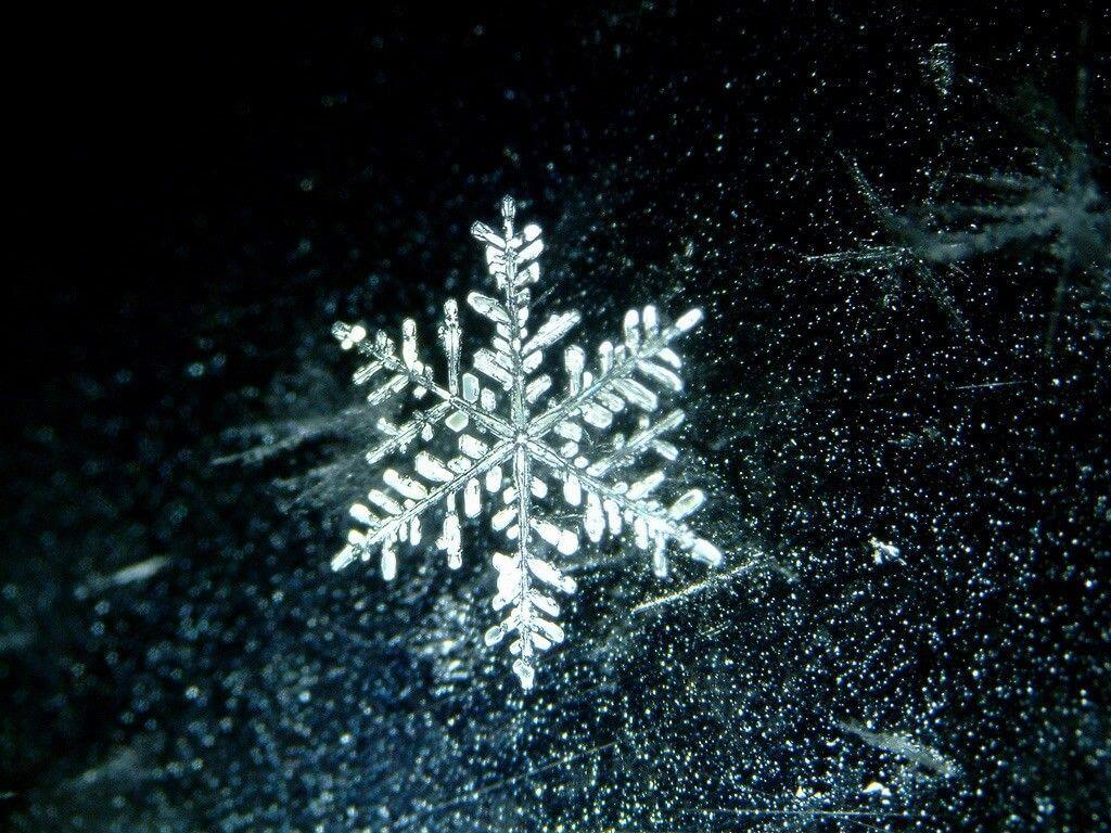 Black Snowflake Wallpapers - Top Free Black Snowflake Backgrounds ...