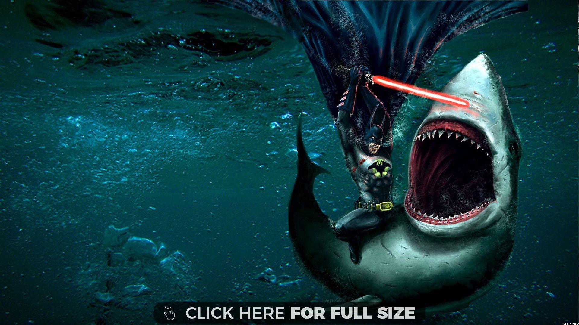 Ultra HD Shark Wallpapers - Top Free Ultra HD Shark Backgrounds ...