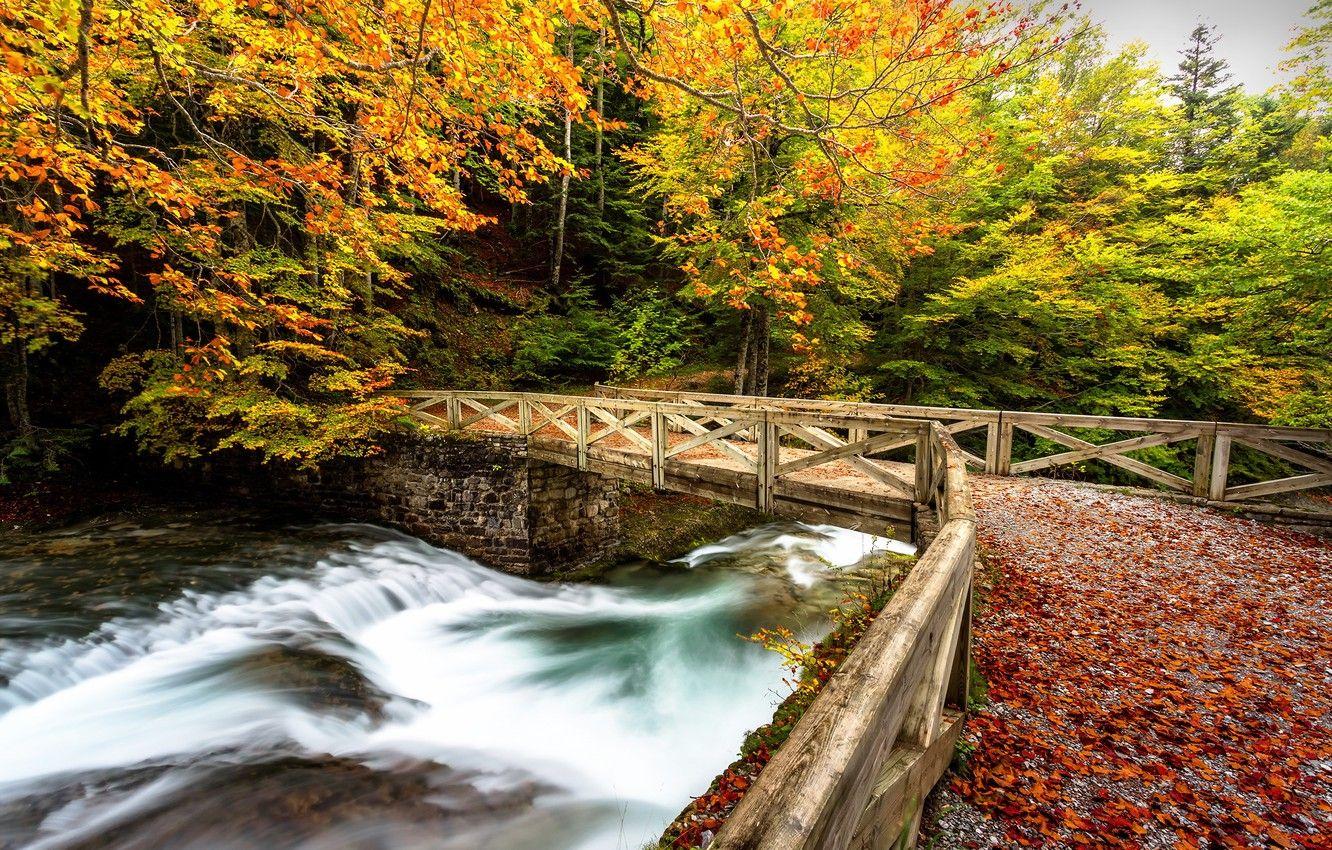Autumn Bridge Wallpapers - Top Free Autumn Bridge Backgrounds ...