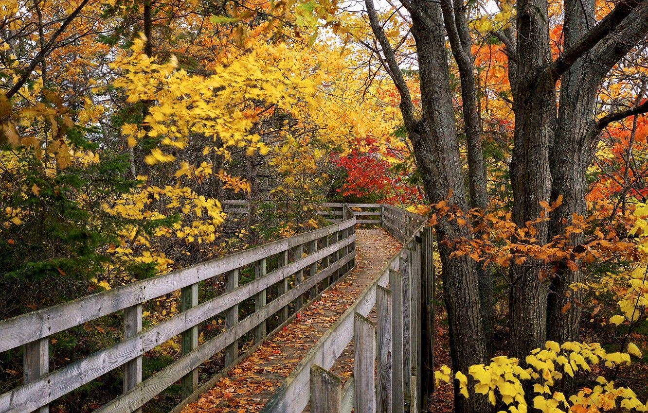 Autumn Bridge Wallpapers - Top Free Autumn Bridge Backgrounds ...