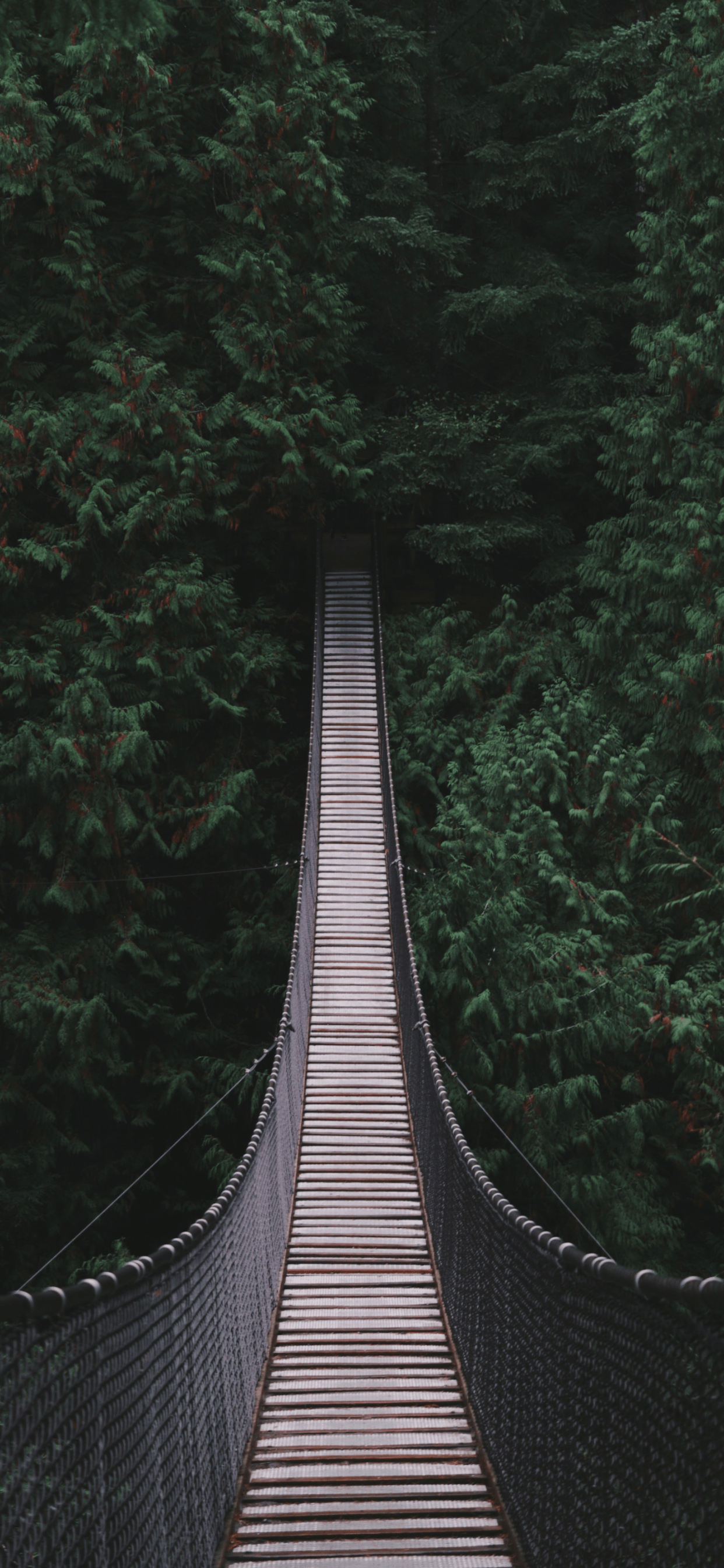 Bridge iPhone Wallpapers - Top Free Bridge iPhone Backgrounds ...