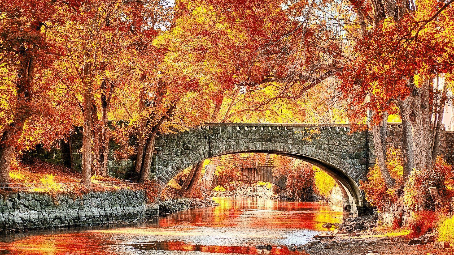 Autumn Bridge Wallpapers - Top Free Autumn Bridge Backgrounds ...
