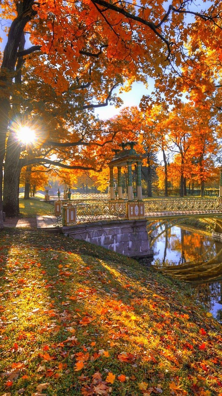 Autumn Bridge Wallpapers - Top Free Autumn Bridge Backgrounds ...