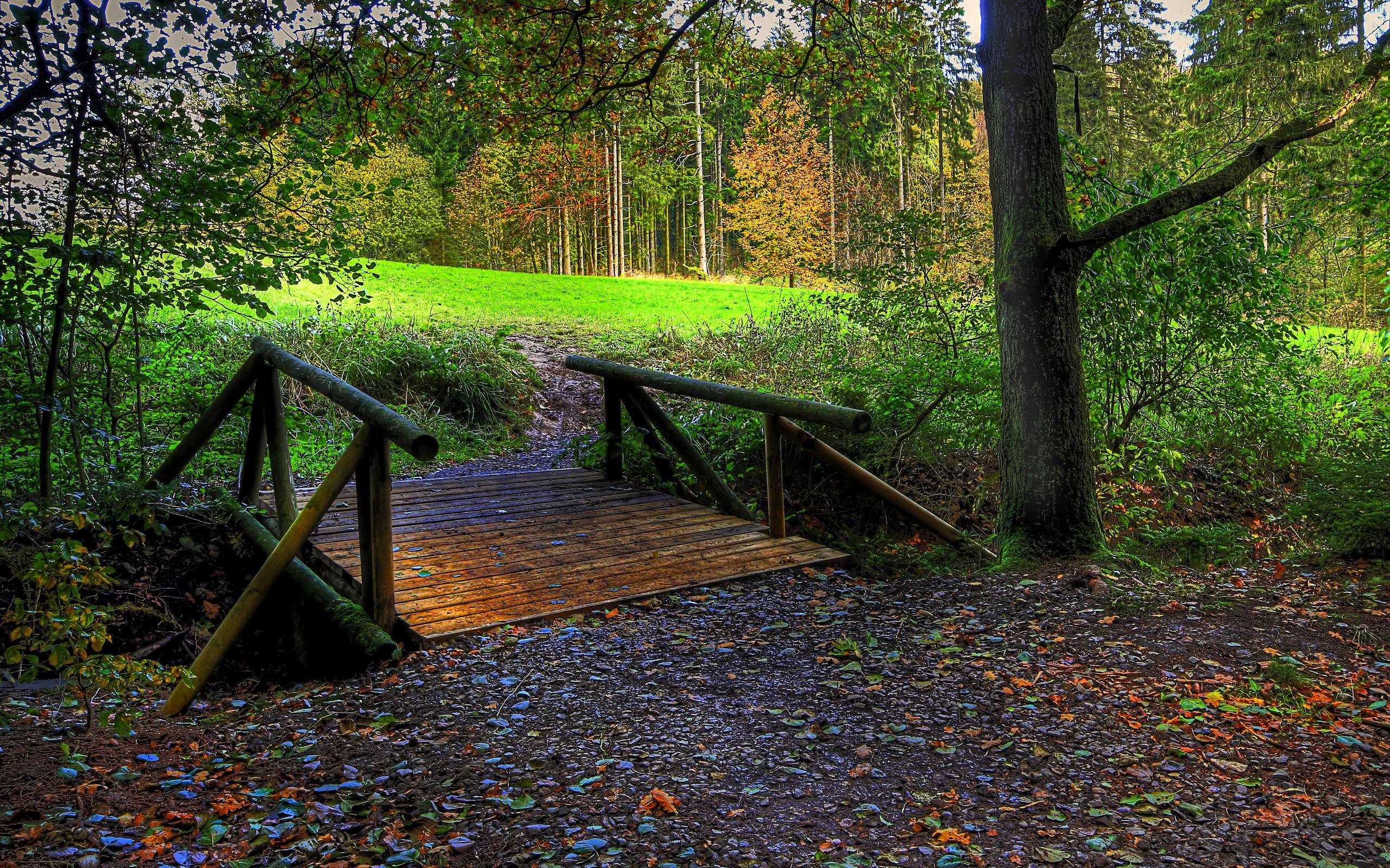 Autumn Bridge Wallpapers - Top Free Autumn Bridge Backgrounds ...