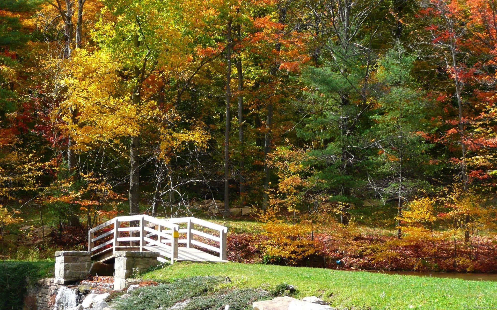 Autumn Bridge Wallpapers - Top Free Autumn Bridge Backgrounds ...