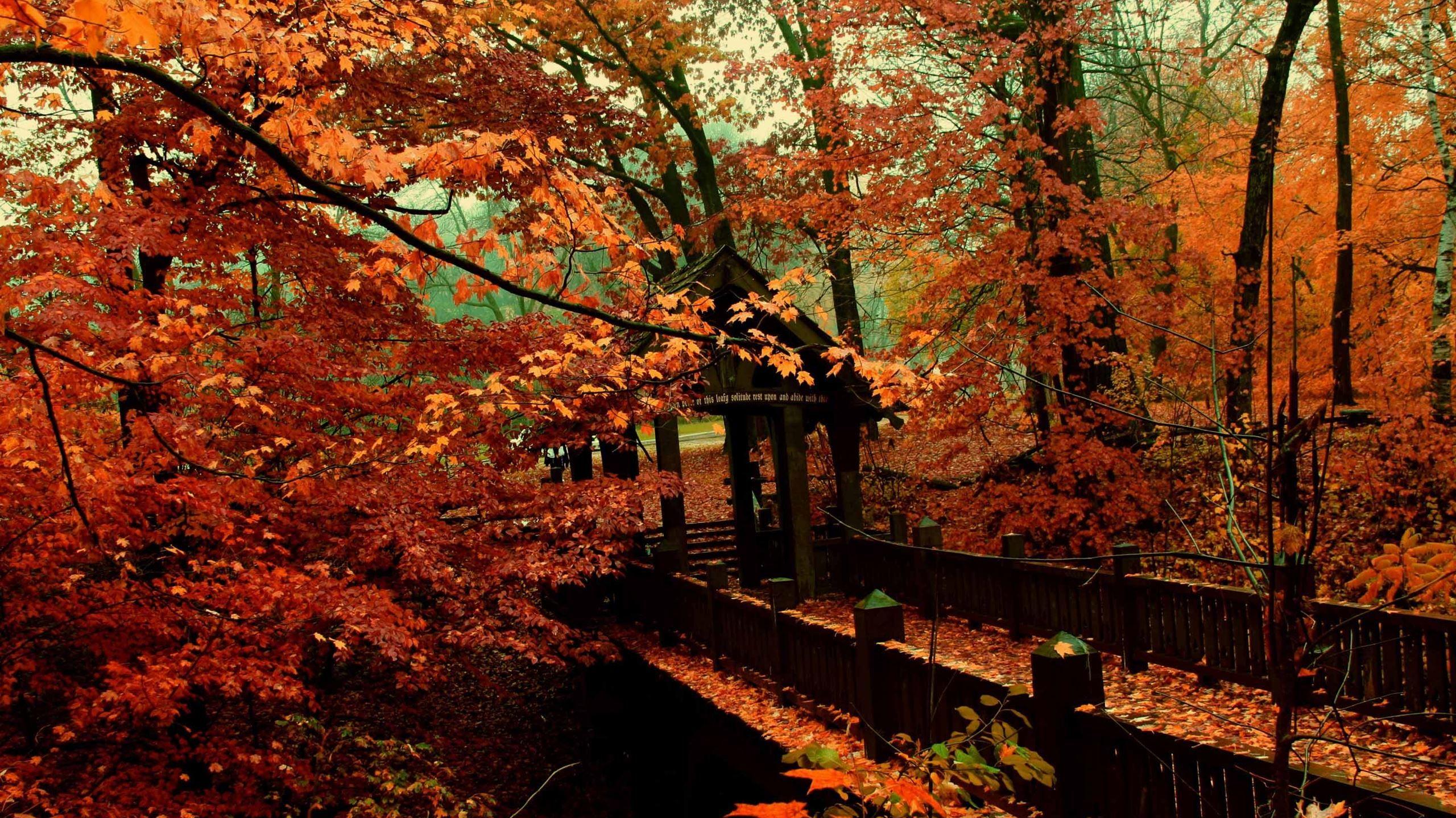 Autumn Bridge Wallpapers - Top Free Autumn Bridge Backgrounds ...