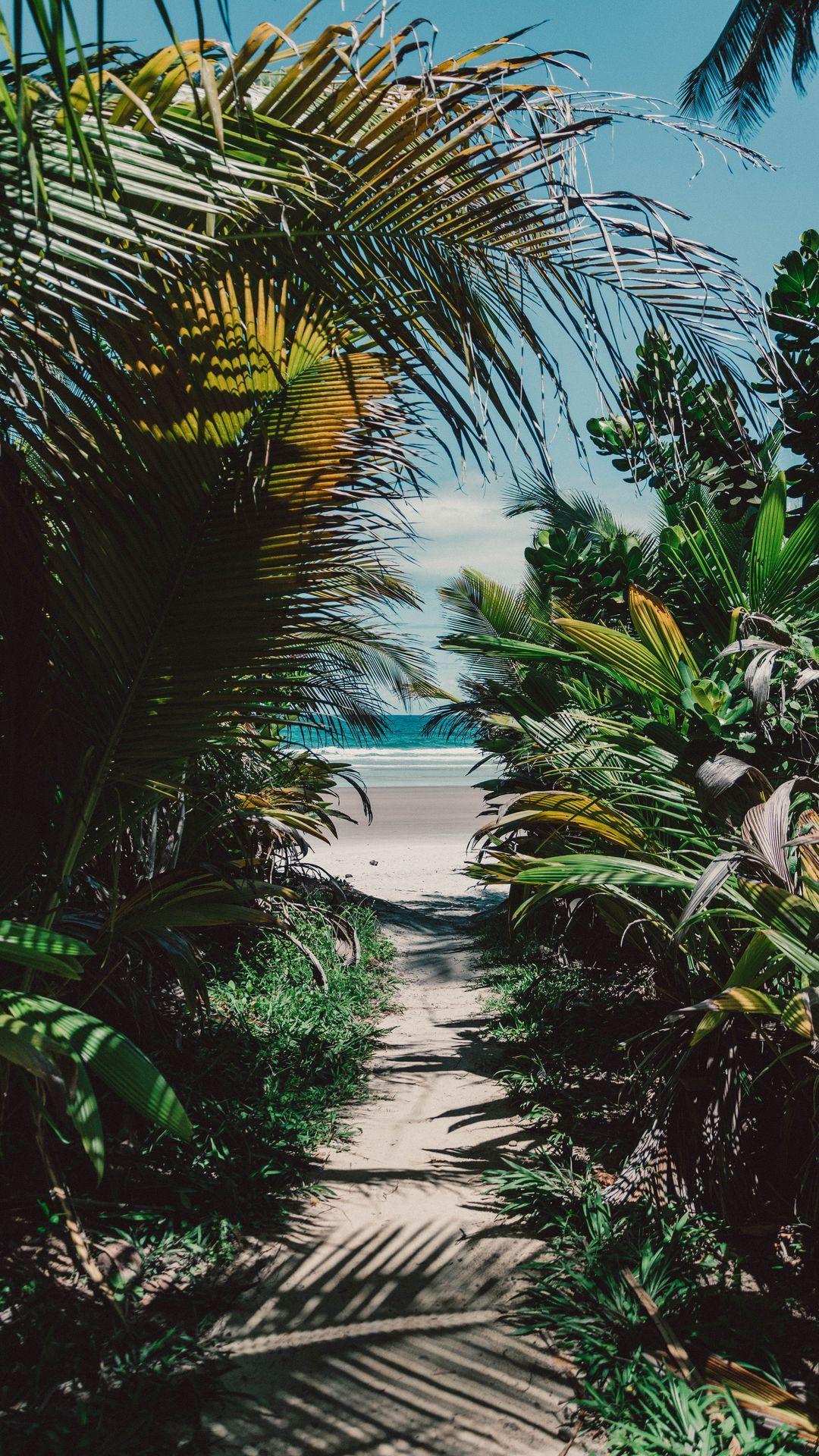 Island Vibes Wallpapers - Top Free Island Vibes Backgrounds ...