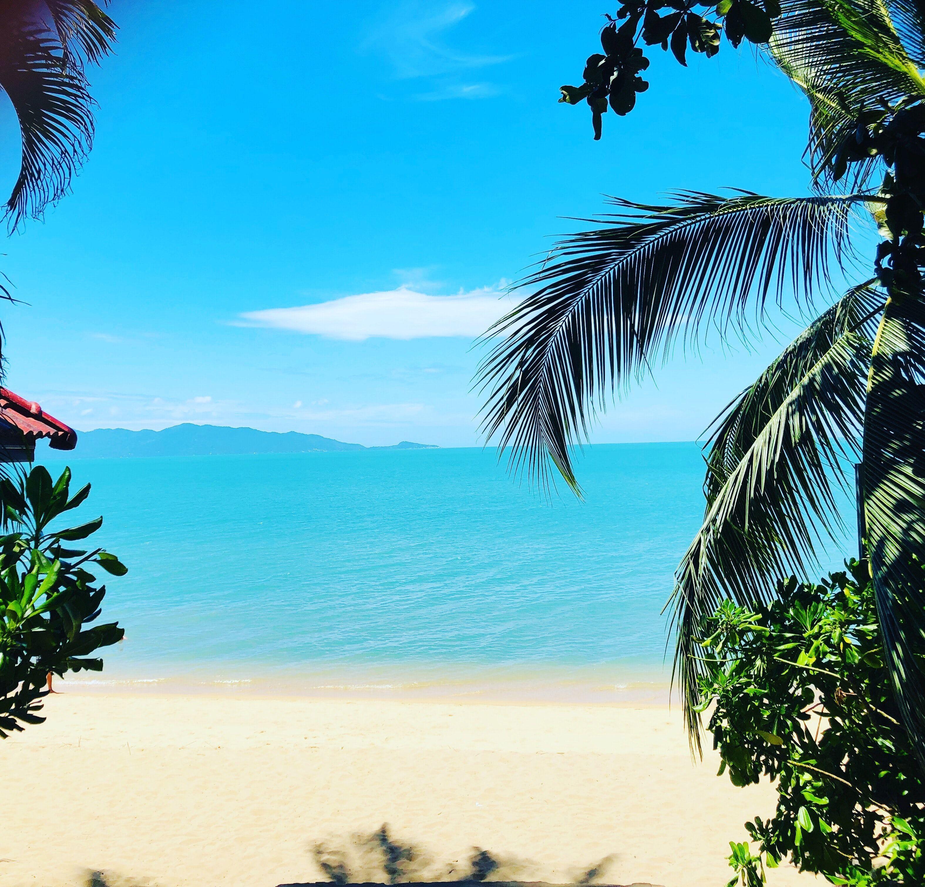 Island Vibes Wallpapers - Top Free Island Vibes Backgrounds ...