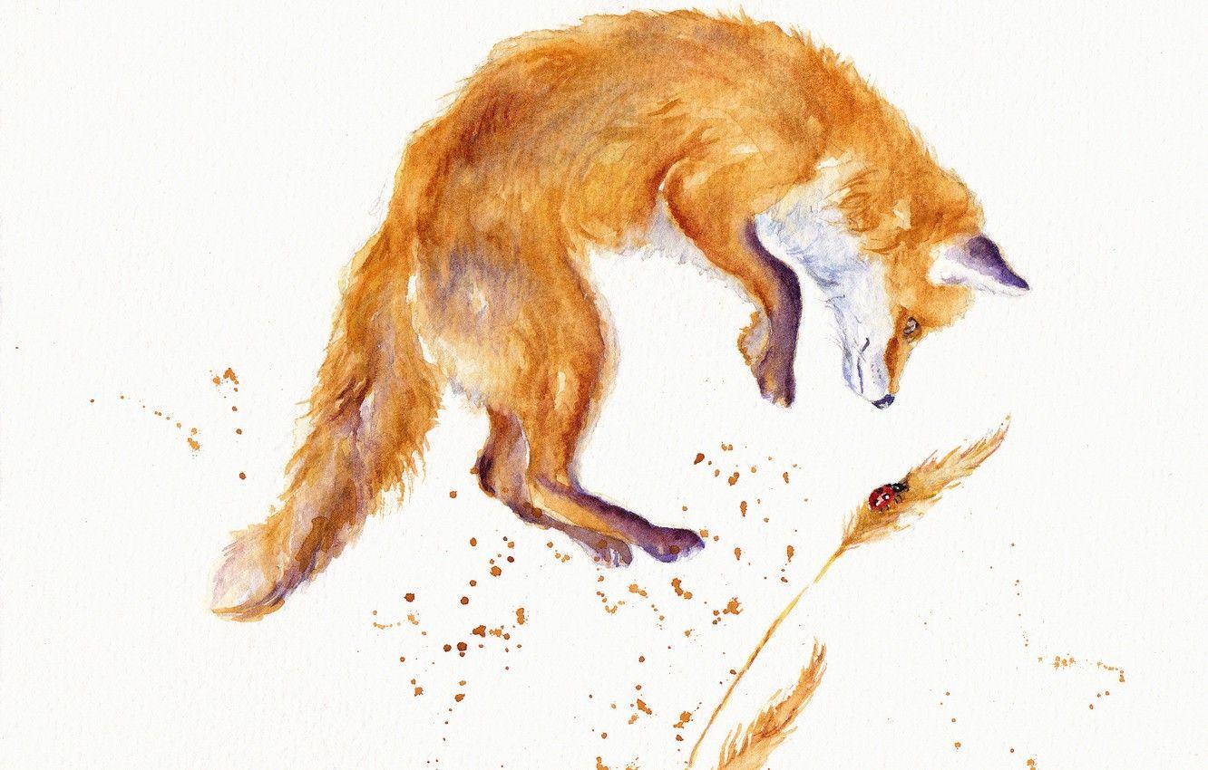 Fox Watercolor Wallpapers - Top Free Fox Watercolor Backgrounds ...