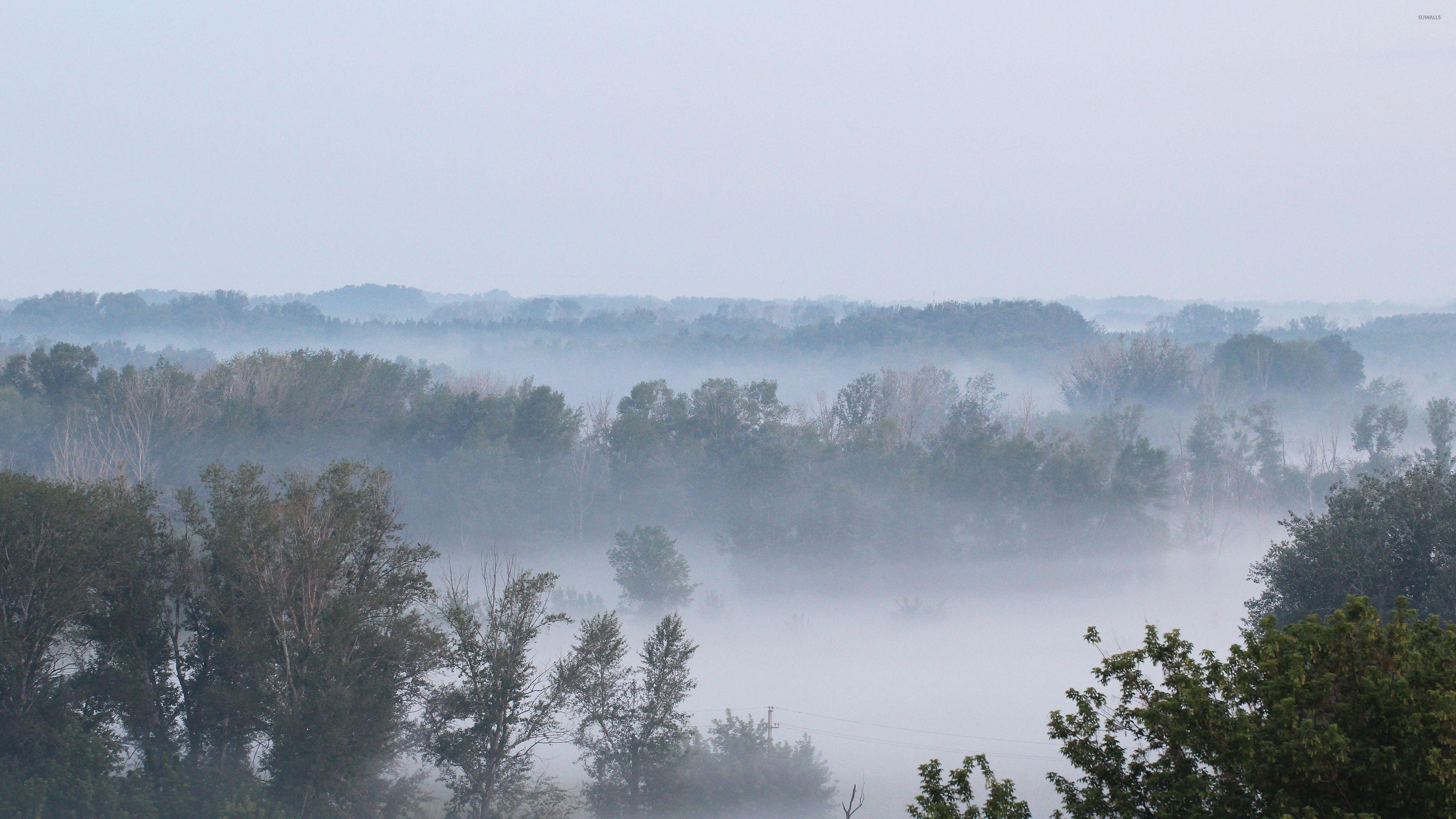 Foggy Landscape Wallpapers - Top Free Foggy Landscape Backgrounds ...