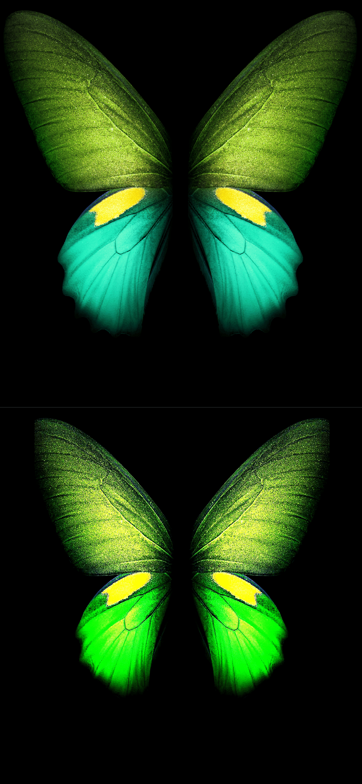 Green Mobile Phone Wallpapers - Top Free Green Mobile Phone Backgrounds ...