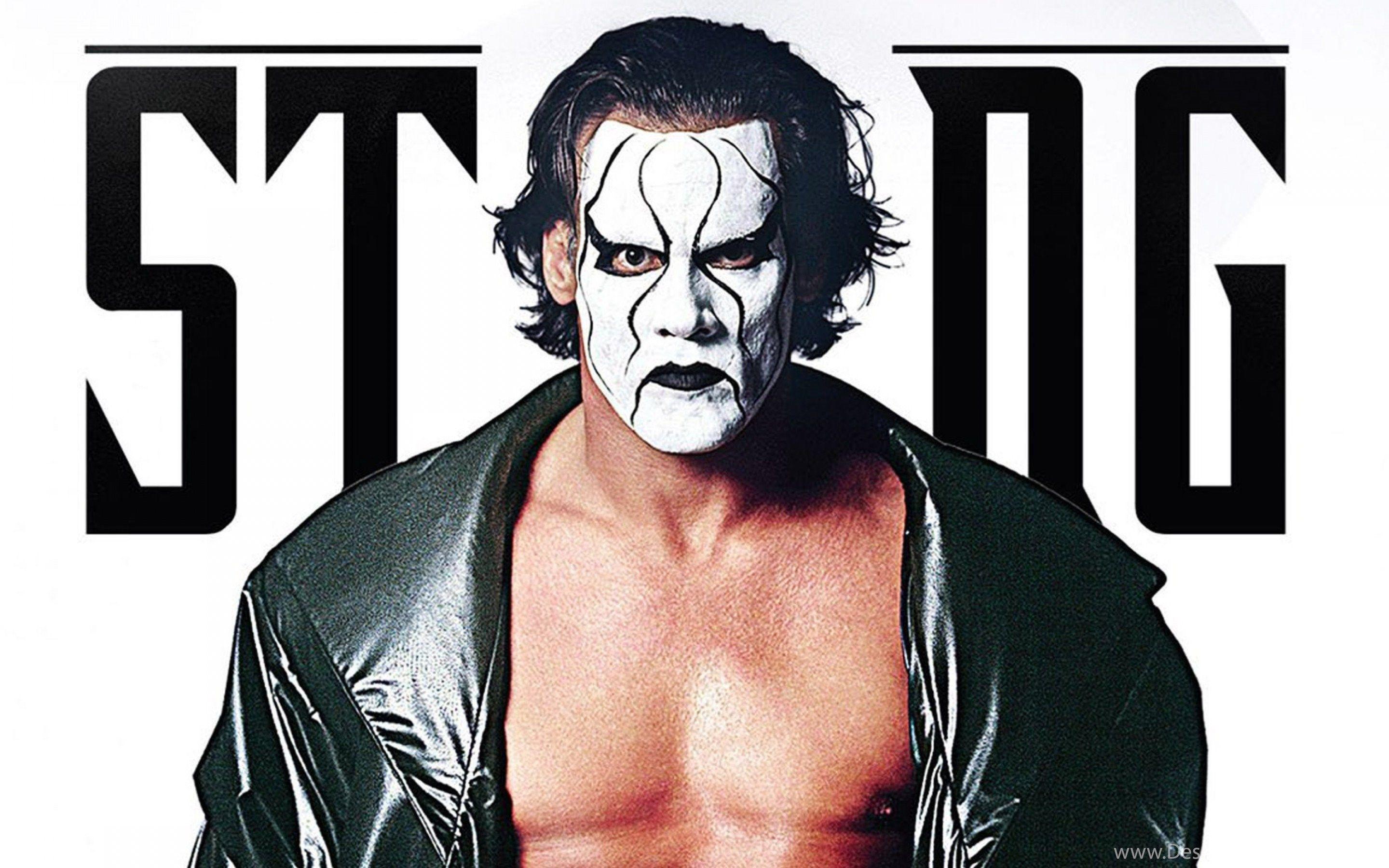 Sting Wallpapers - Top Free Sting Backgrounds - WallpaperAccess