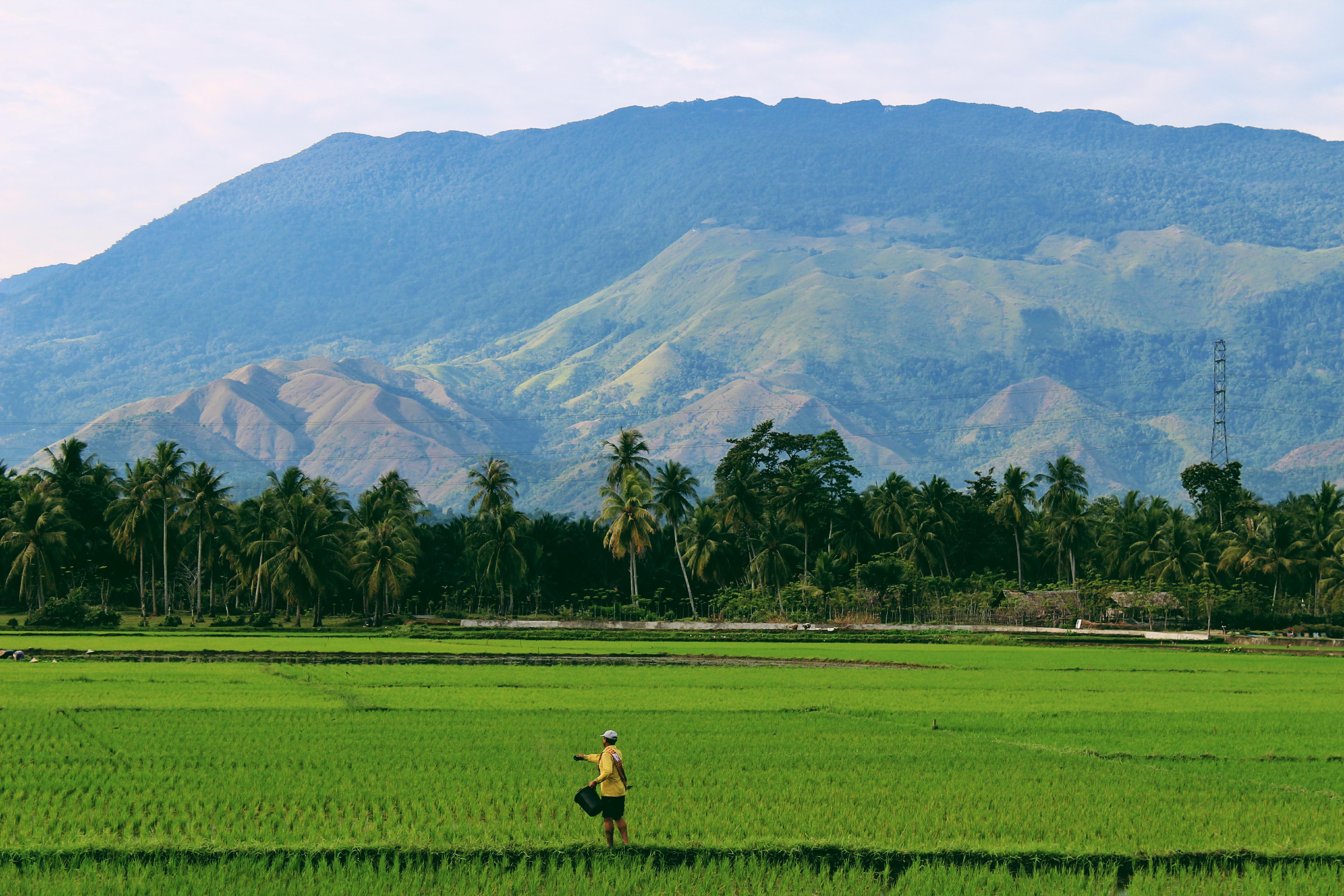 Indian Farmer Wallpapers - Top Free Indian Farmer Backgrounds ...