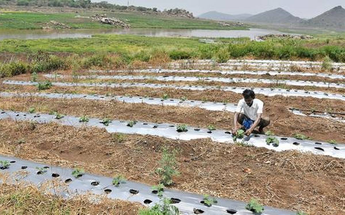 Indian Farmer Wallpapers - Top Free Indian Farmer Backgrounds ...